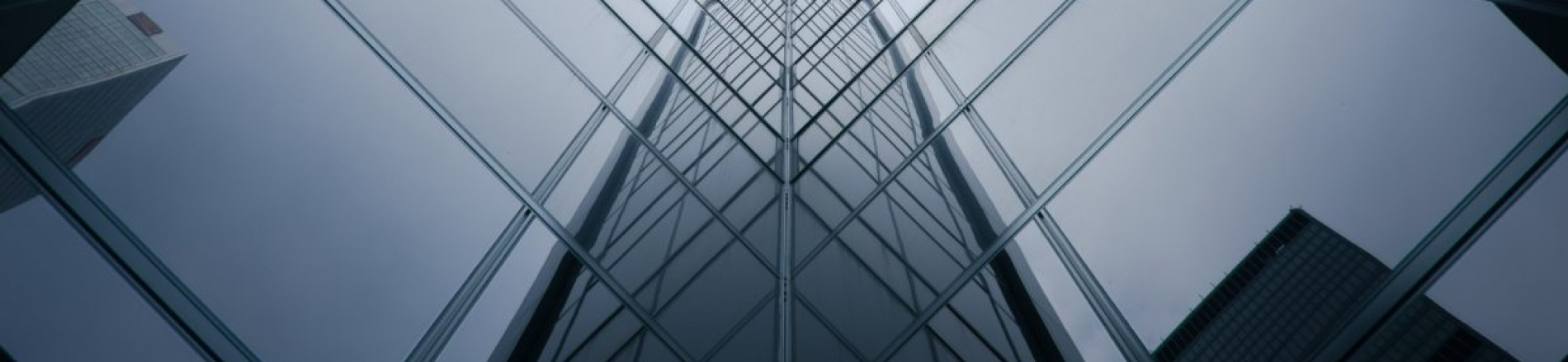 Executive Committee | CCPG